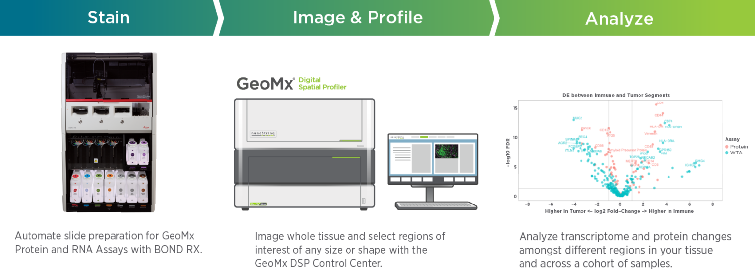 Automate GeoMx DSP slide preparation with Leica Bond RX