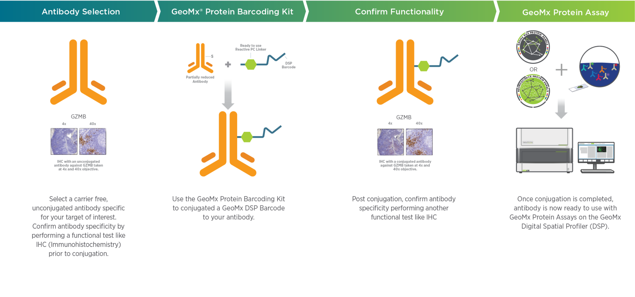 GeoMx Protein Assays for Biological Research | NanoString
