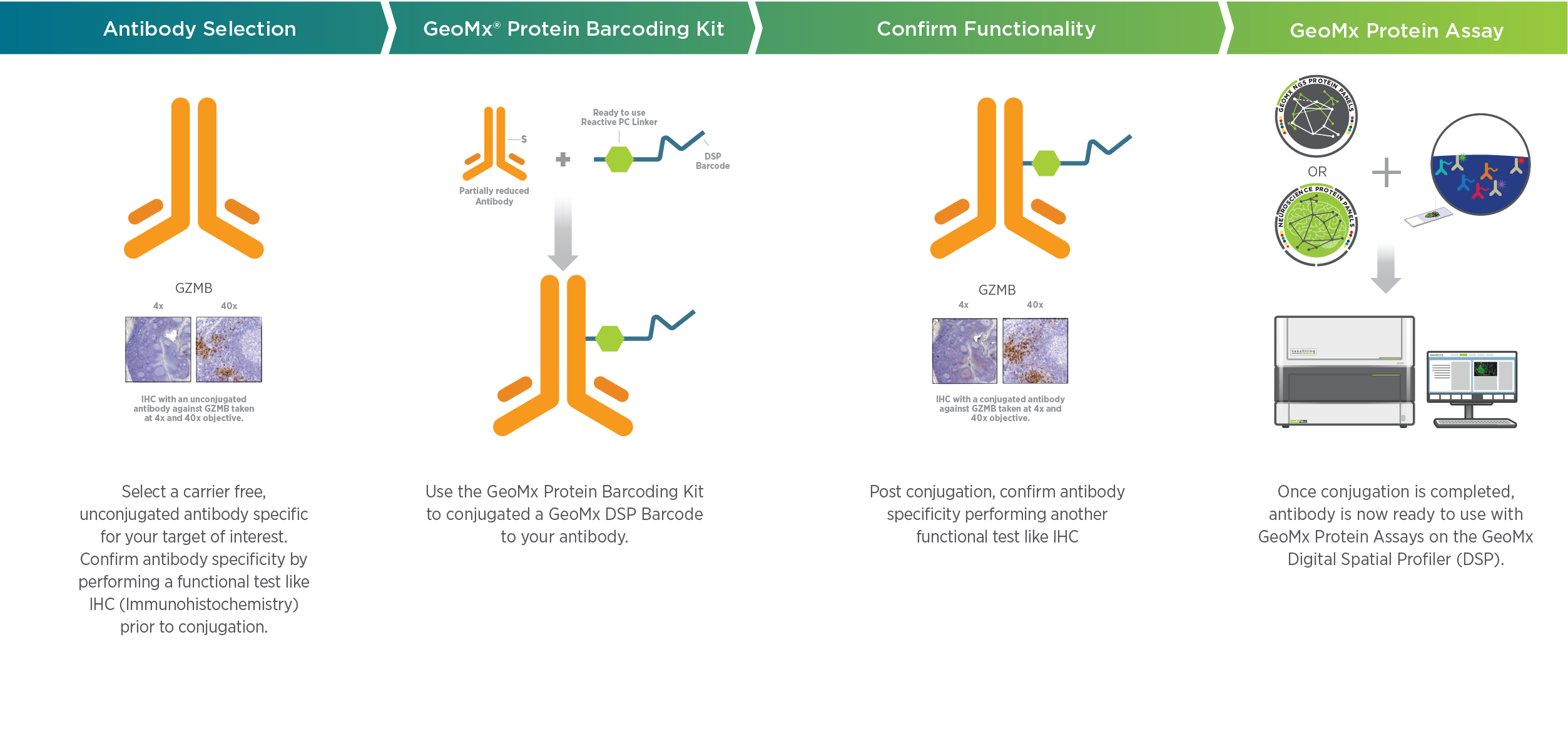 GeoMx Protein Assays for Biological Research | NanoString