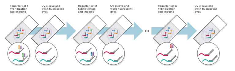 CosMx SMI Overview - Single-Cell Imaging - NanoString