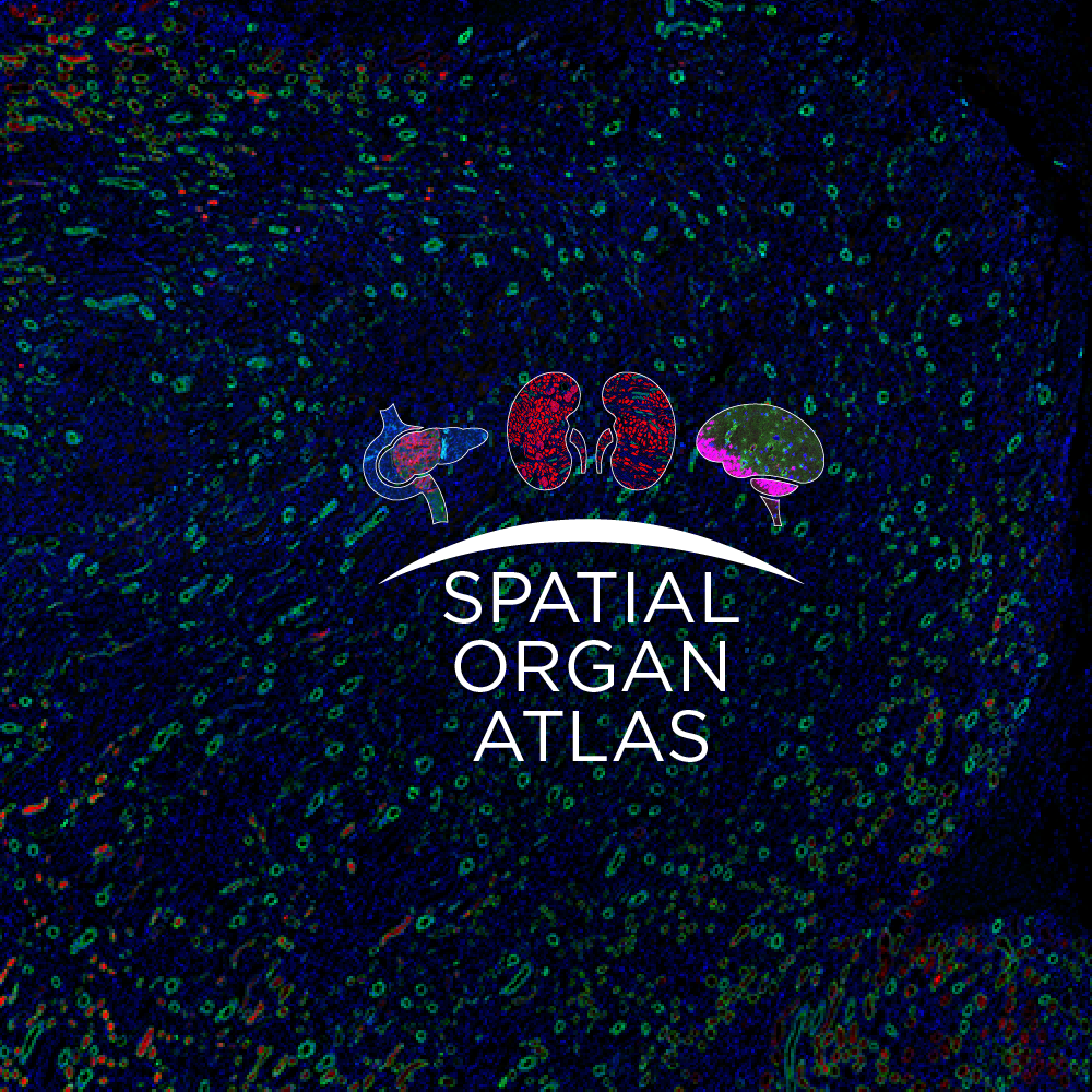 GeoMx Digital Spatial Profiler | NanoString