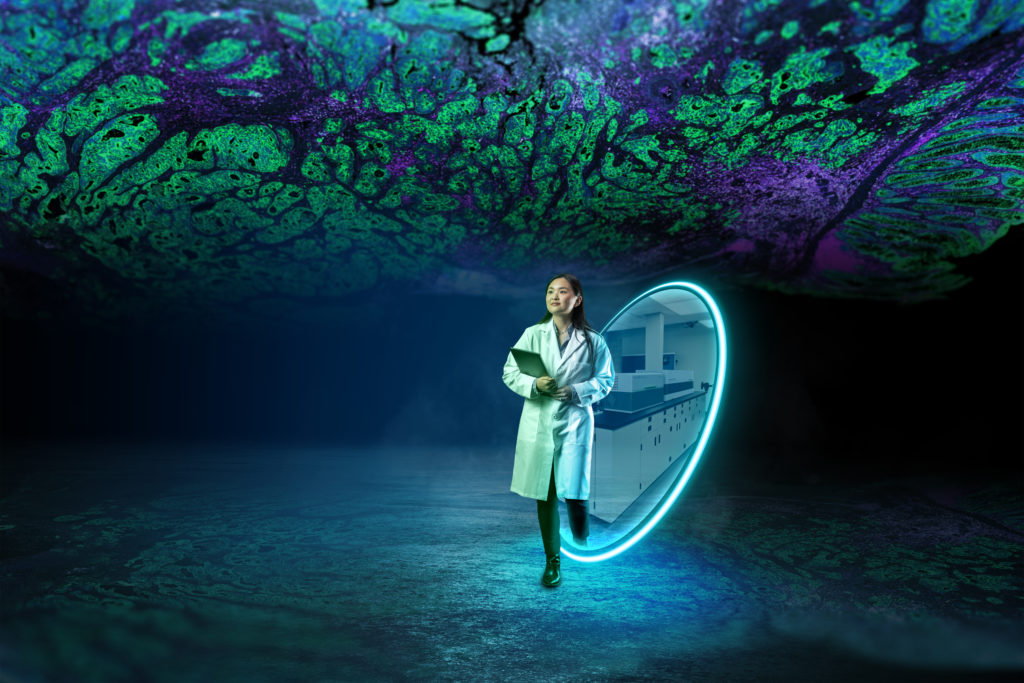 Spatial Whole Transcriptome Profiling and High-plex Single-cell Imaging ...