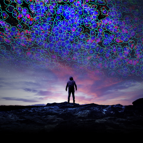 CosMx Spatial Molecular Imager | NanoString