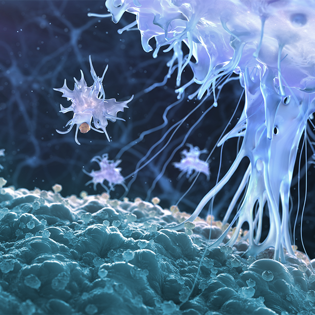 nCounter Assays & Panels | Nanostring