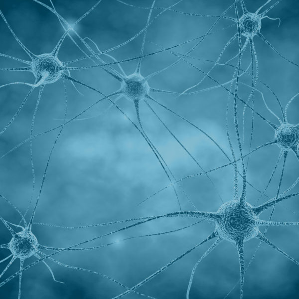 nCounter Assays & Panels | Nanostring