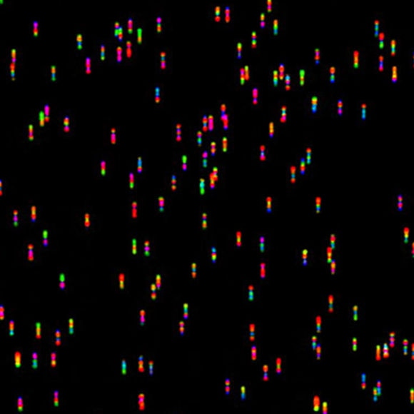 nCounter® Analysis System | NanoString